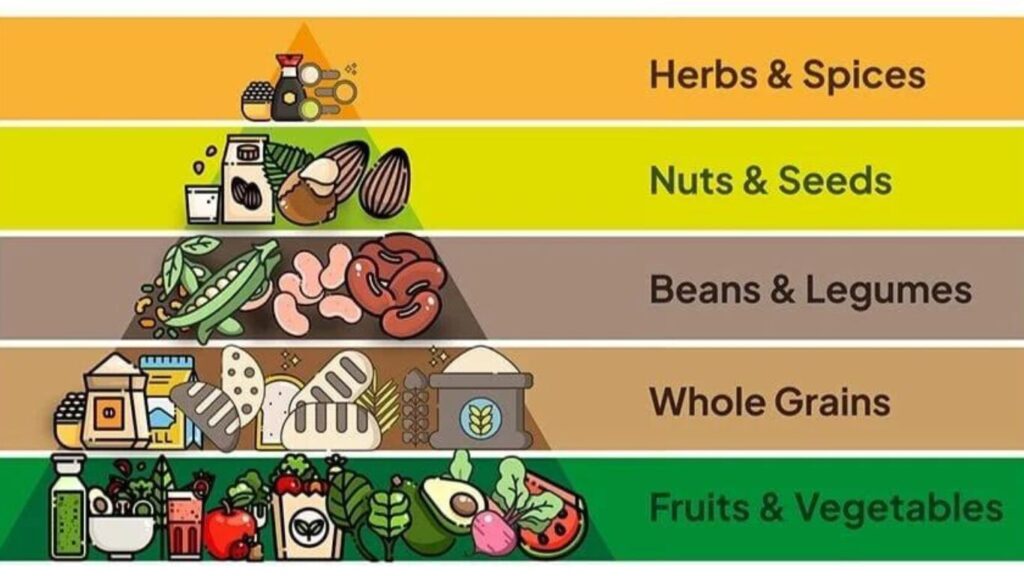 Food Pyramid - Northwest Clinic Day Surgical