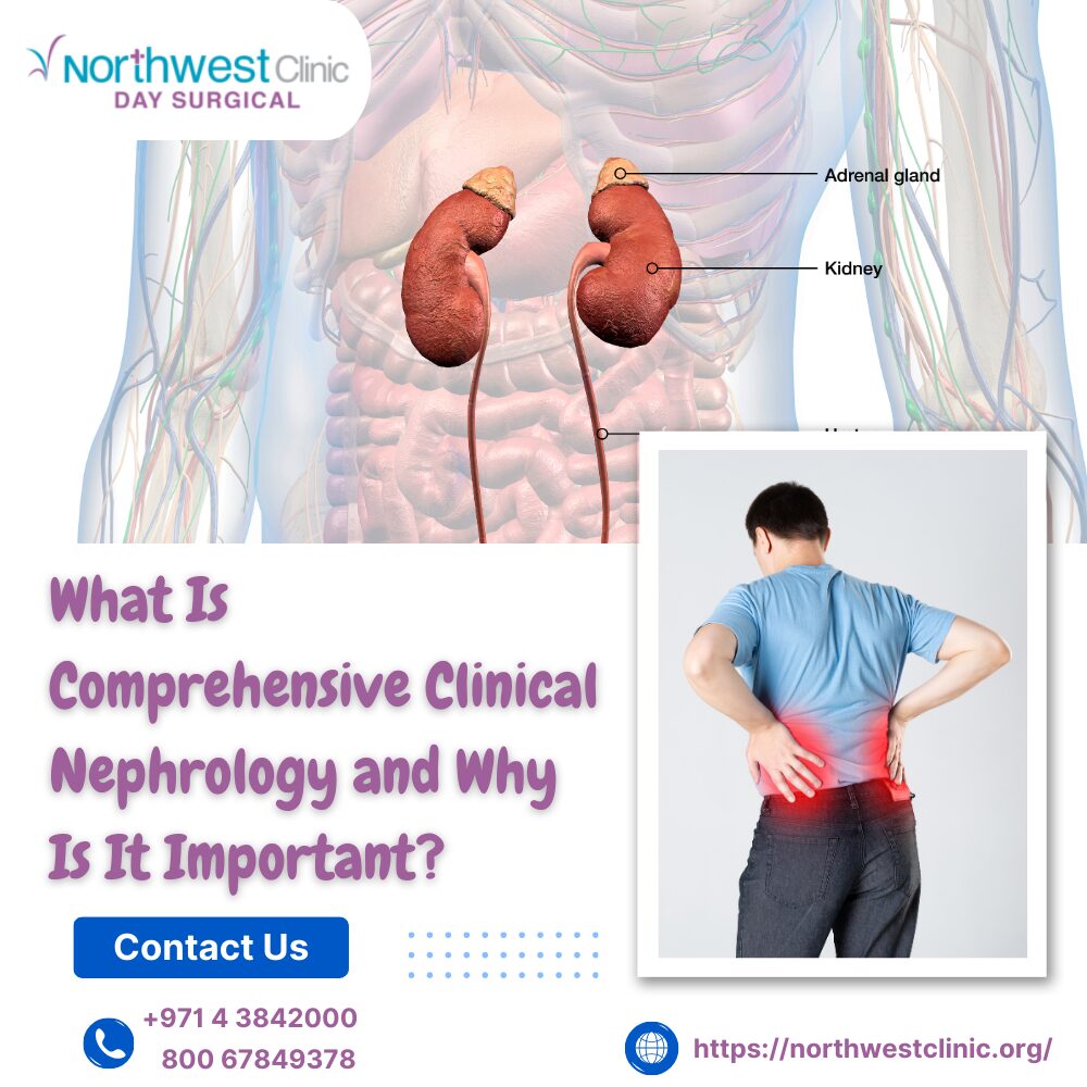 What Is Comprehensive Clinical Nephrology and Why Is It Important? - Northwest Clinic Day Surgical