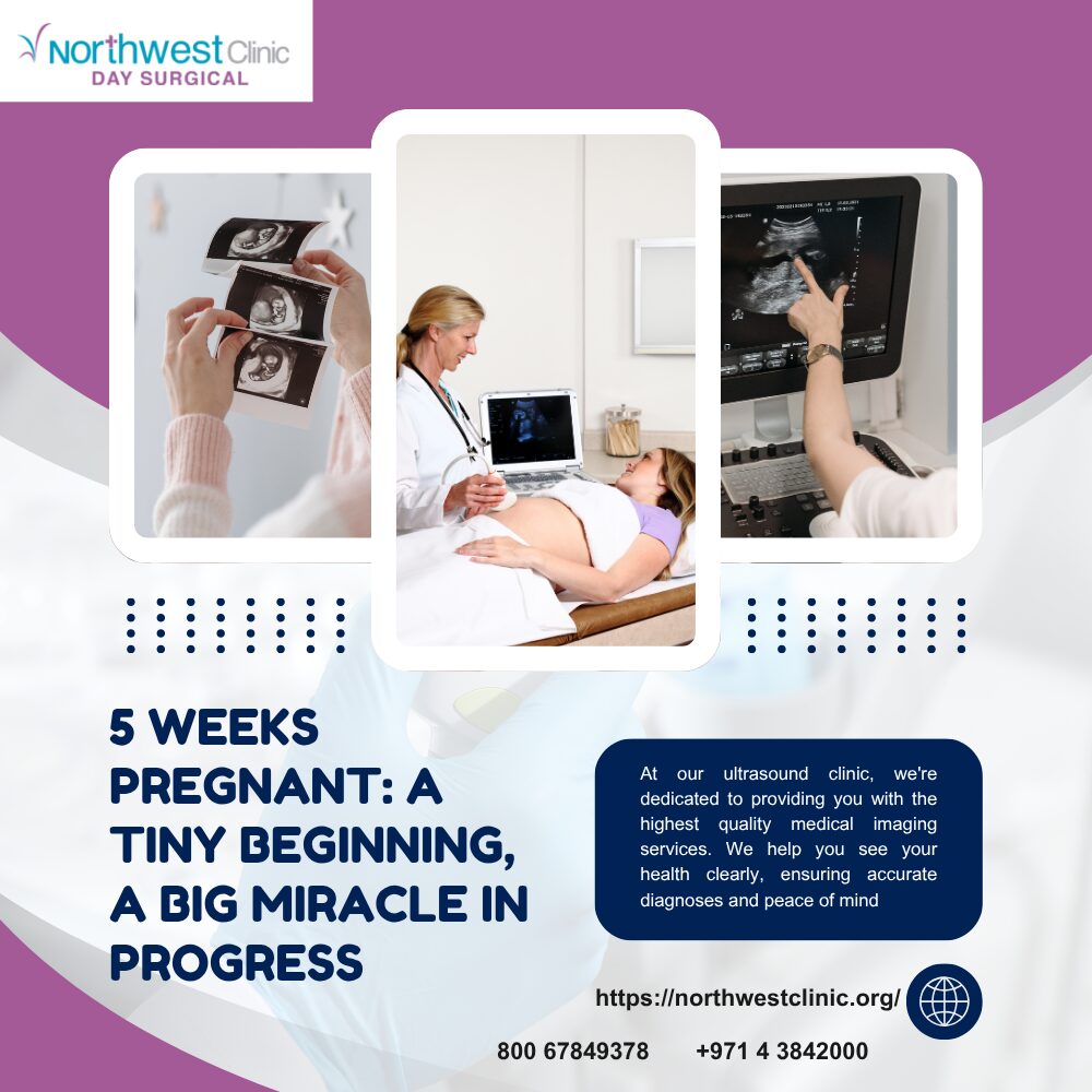 5 weeks pregnant ultrasound - Northwest Clinic Day Surgical